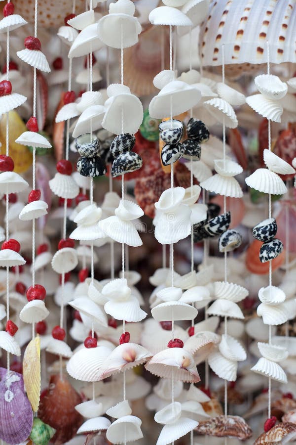 The shell wall stock image. Image of nature, accessories - 31738207