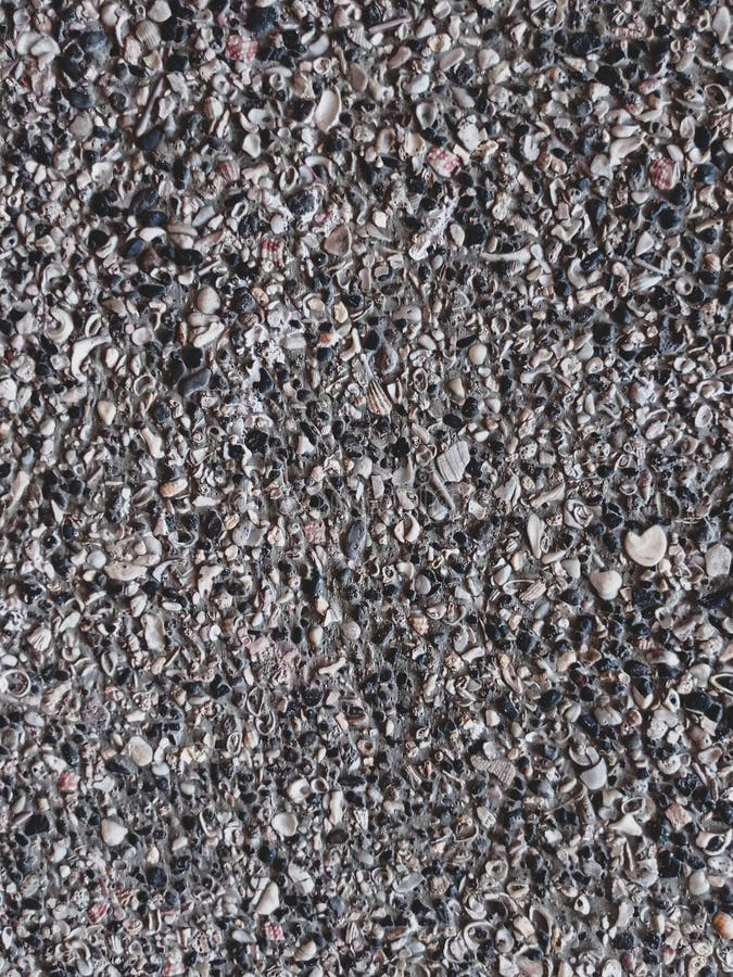 Shell Wall . stock image. Image of sand, design, wall - 232379509