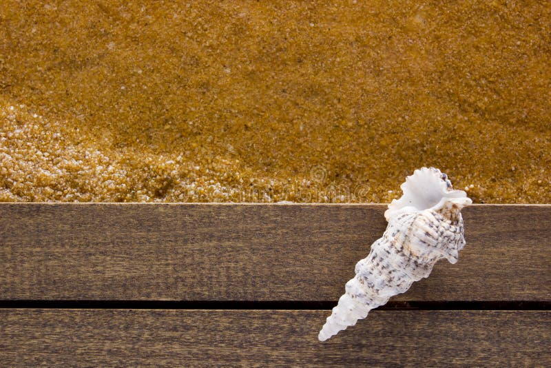 Shell the water s edge stock image. Image of line, resort - 65158261