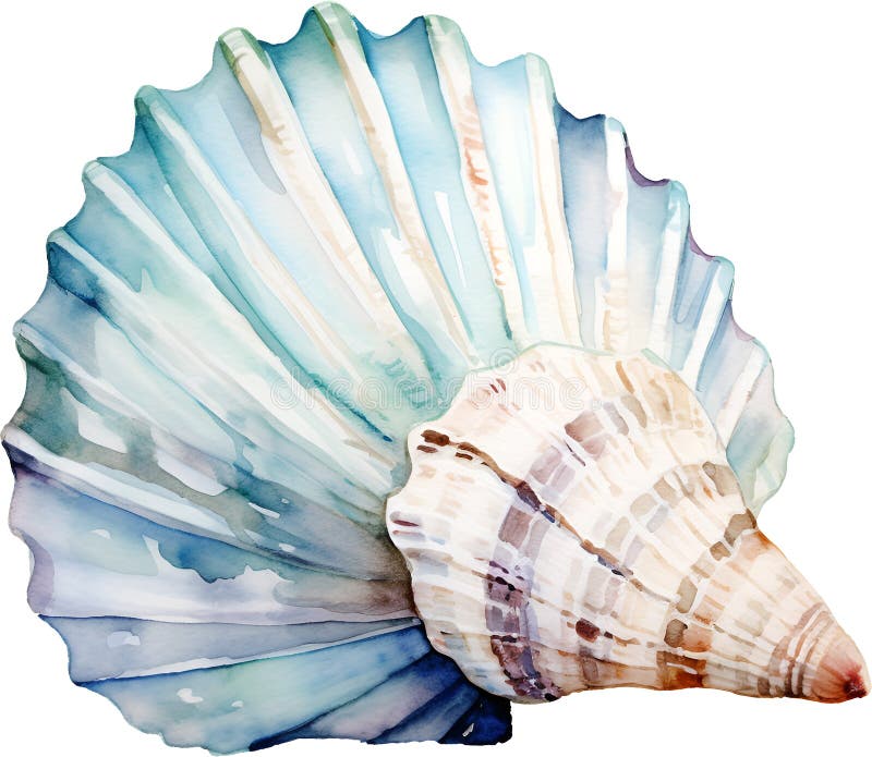 Shell Watercolor Clipart stock image. Image of generated - 308830563