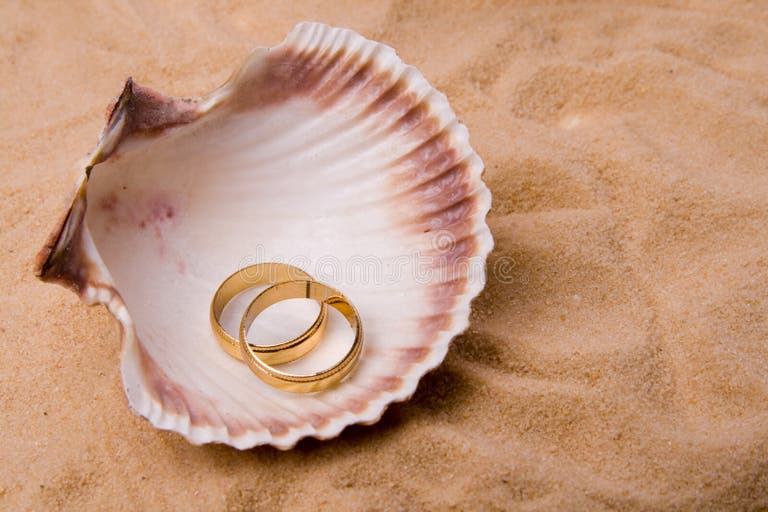 Shell and wedding band stock photo. Image of crust, ocean - 3518664