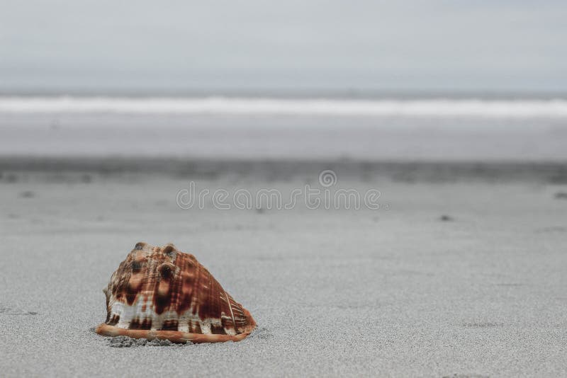 Dull Wintery Ocean Stock Photos - Free & Royalty-Free Stock Photos from ...