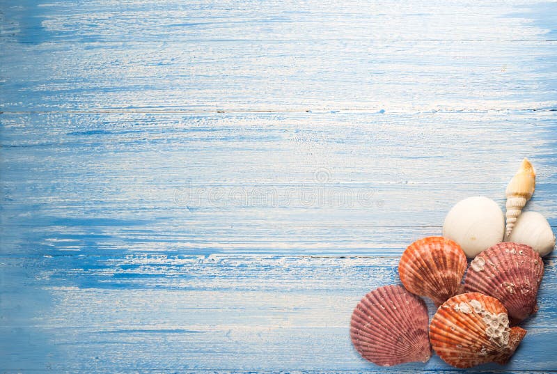 Shell on wood texture stock image. Image of wood, vacation - 94993493