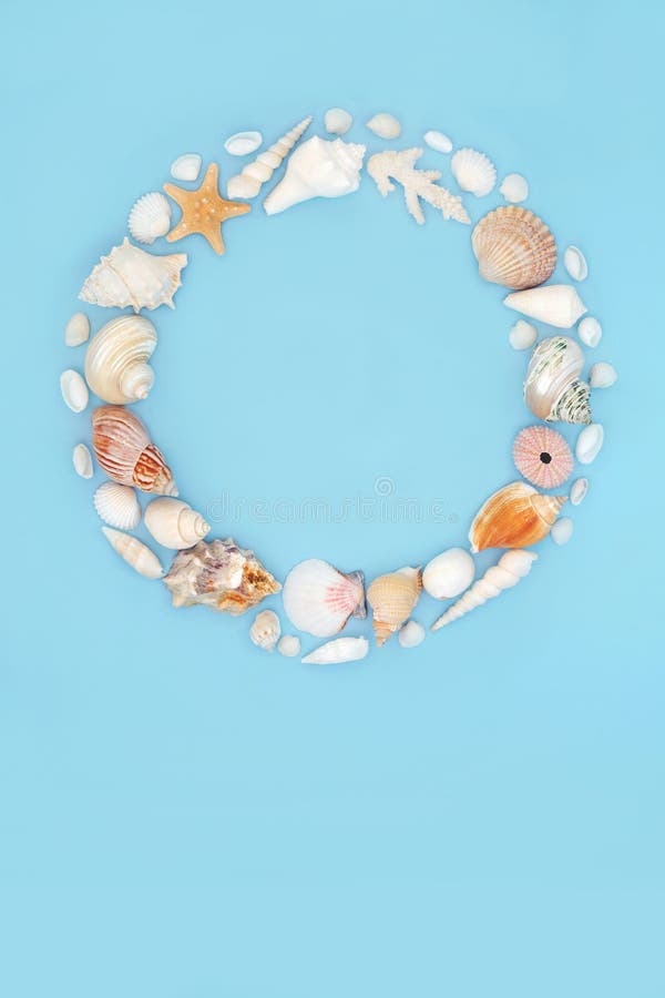 Shell Wreath Summer Decoration Stock Image - Image of pattern, conch: 322837715