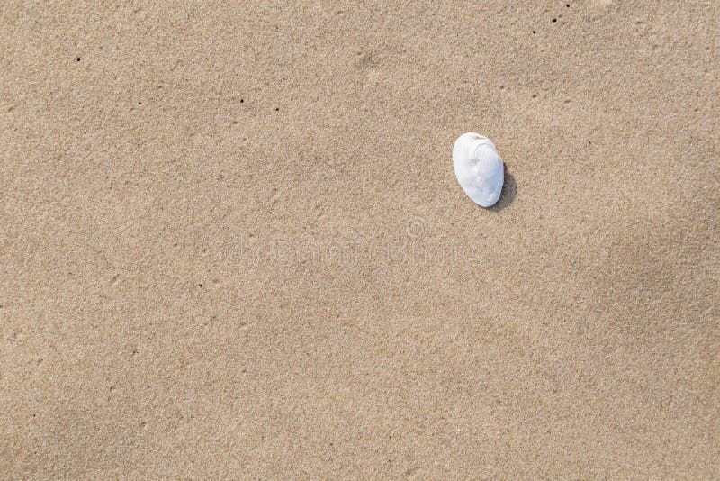 Arena lisa en una playa imagen de archivo. Imagen de texturizado ...