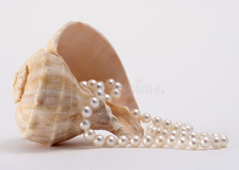 Shell y perlas imagen de archivo. Imagen de regalo, lago - 4148905