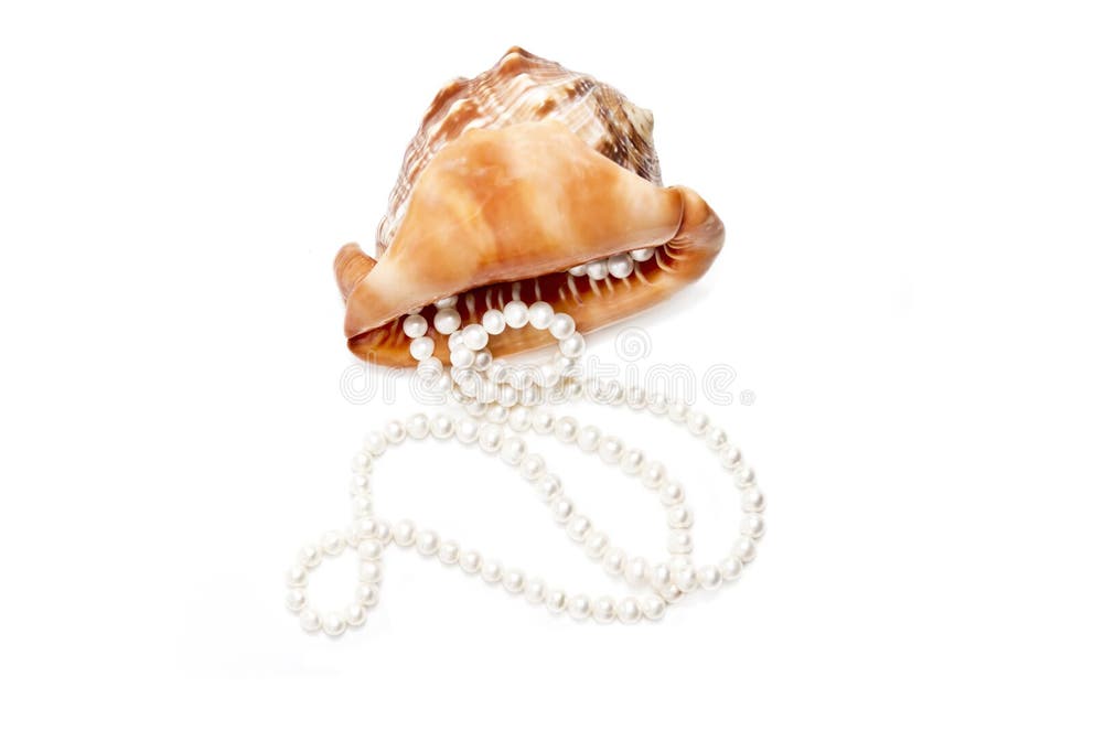 Shell Y Una Cadena De Perlas Imagen de archivo - Imagen de joya, pila ...