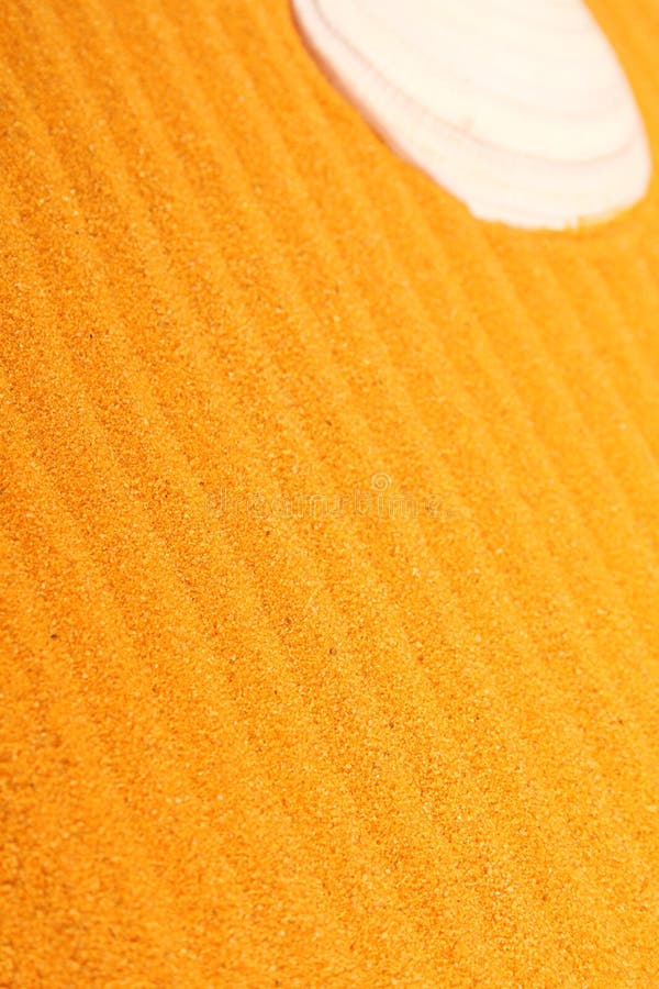 Shell on a yellow sand stock photo. Image of pattern - 31060096