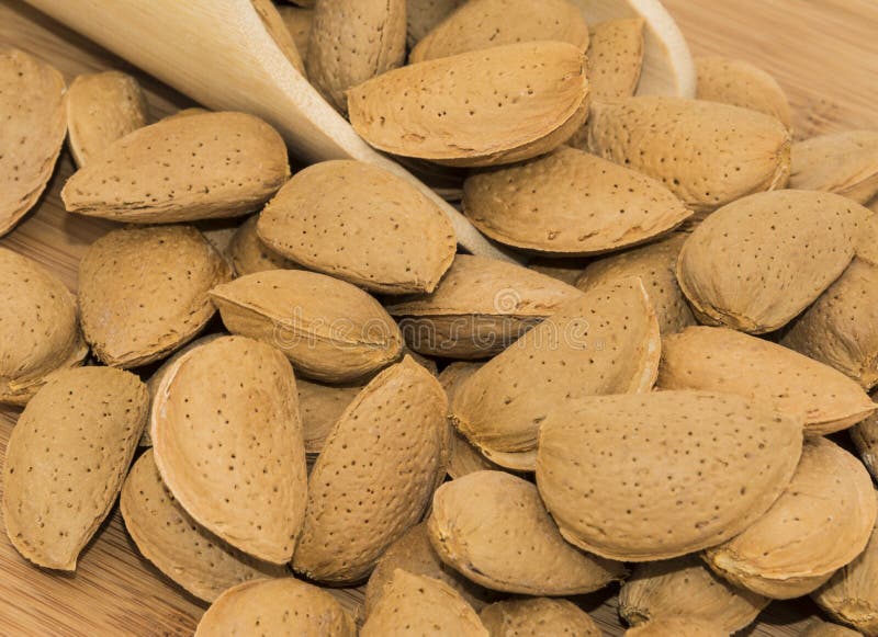 Shelled Almonds in Husk Newly Harvest Stock Photo - Image of almonds ...