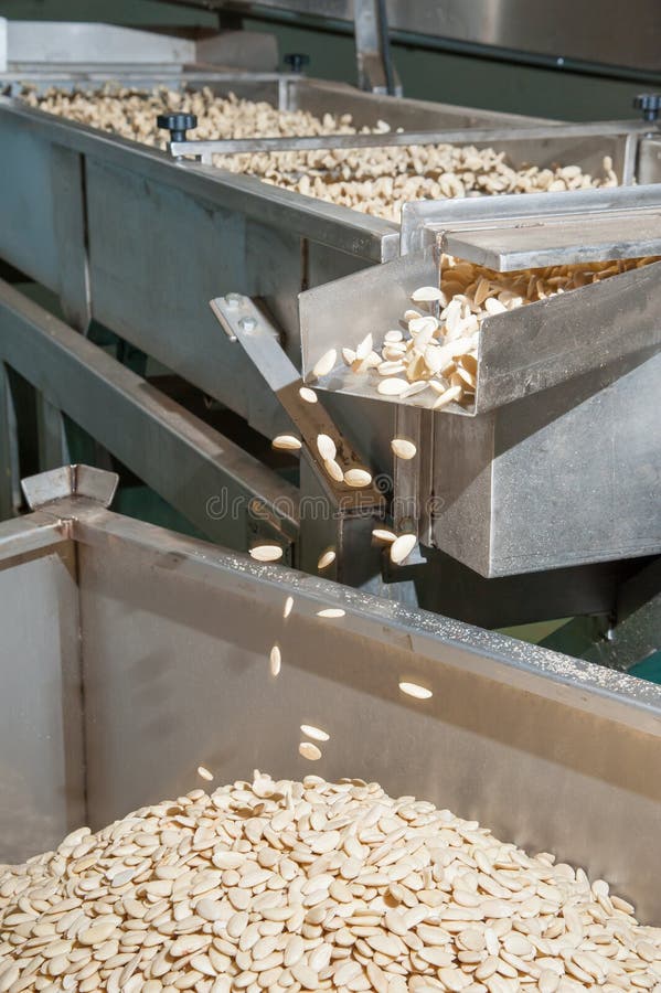 The working of almonds stock image. Image of factory - 183086763