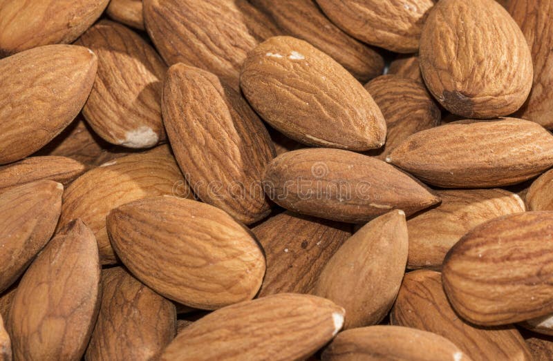 Shelled Almonds stock photo. Image of scattered, tasty - 4997808
