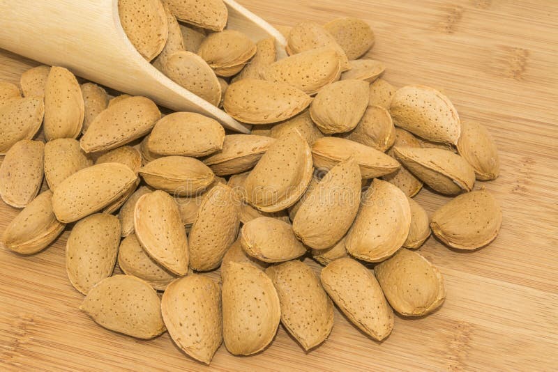Shelled Almonds stock photo. Image of almonds, eating - 44179278