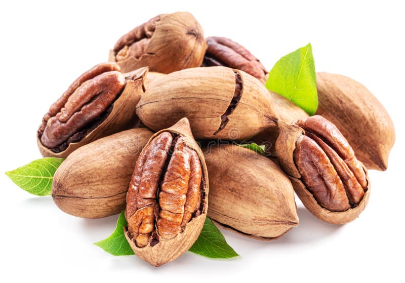 Shelled and Cracked Pecan Nuts with Leaves Close-up on White Background ...