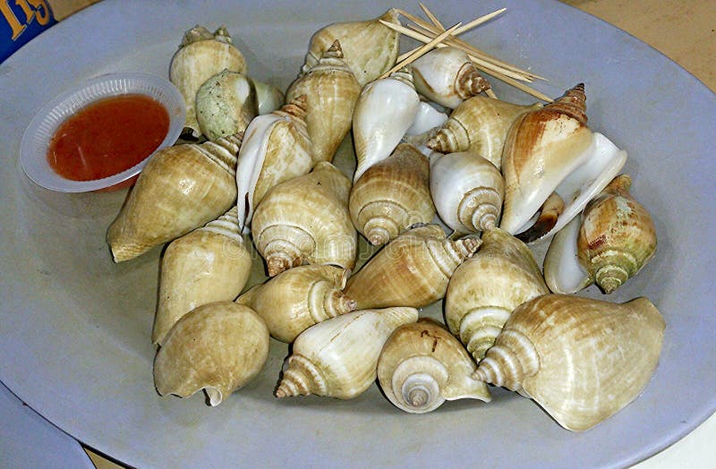 Shelled food stock image. Image of shell, shelled, seafood - 44248091