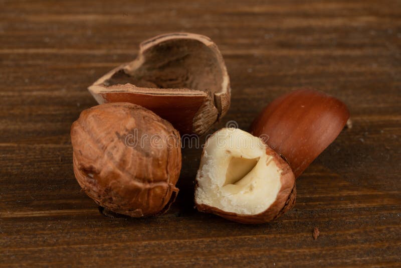 Shelled hazel nuts stock photo. Image of closeup, leaf - 143435668