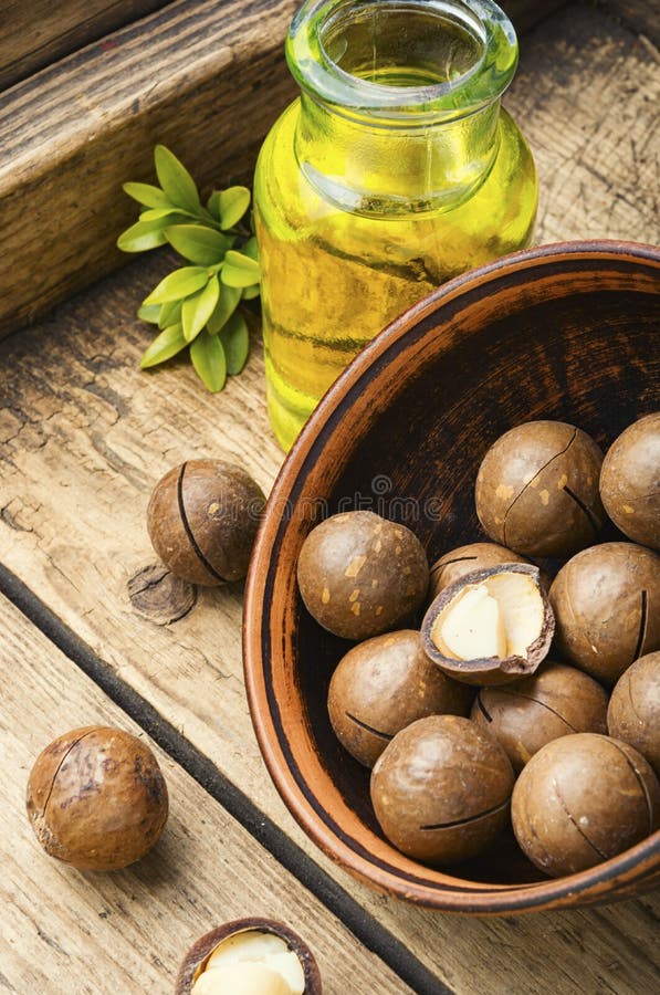 Shelled macadamia nuts stock image. Image of bottle - 172864083