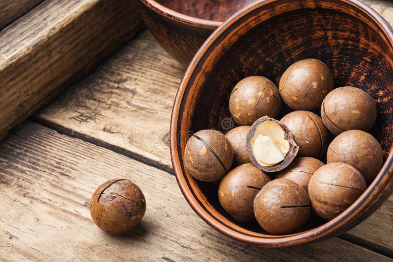 Shelled macadamia nuts stock photo. Image of hazel, essential - 172864052