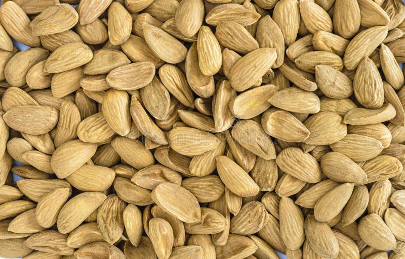 Shelled Mamra Almonds As Background Stock Image - Image of seed, energy ...