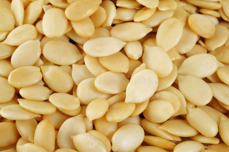 Shelled melon seeds stock image. Image of shelled, brown - 46569605