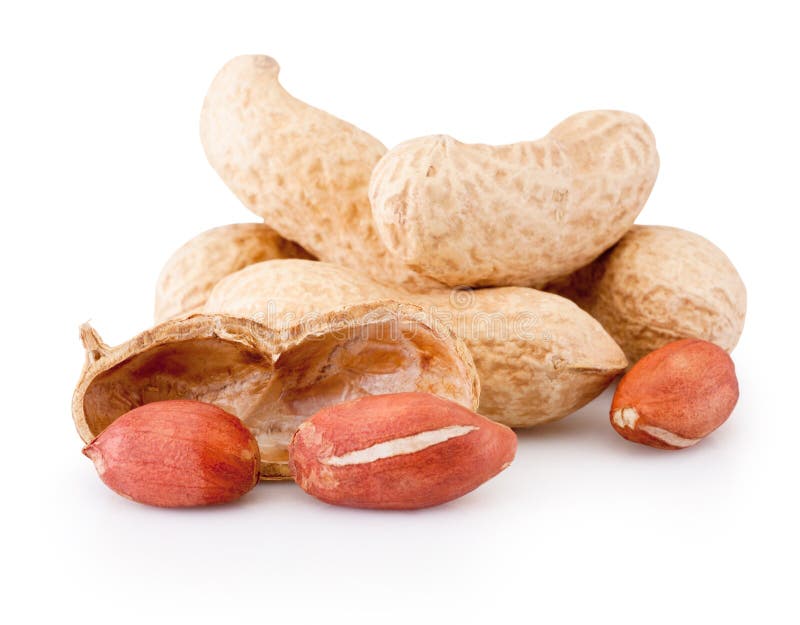 Peanuts isolated on white stock image. Image of group - 26098165