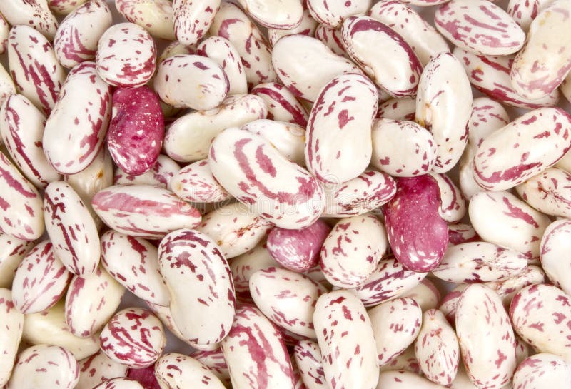 Shelled Romano Beans stock image. Image of pattern, ingredient - 6260715