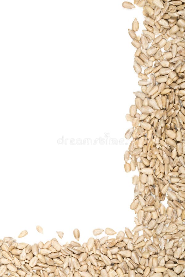 Shelled Sunflower Seeds Edge Border Stock Photos - Free & Royalty-Free ...