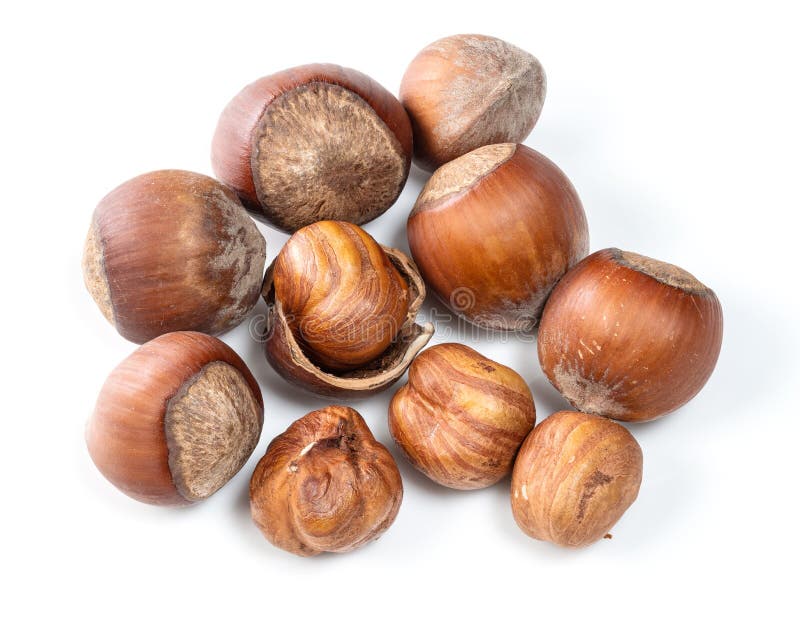 Shelled and Unshelled Hazelnuts Closeup on White Stock Image - Image of ...