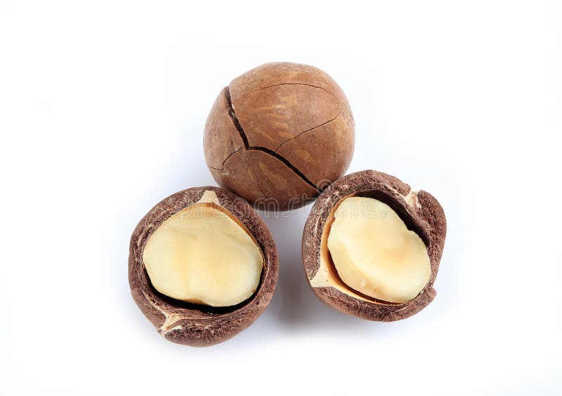 Shelled and Unshelled Organic Macadamia Nuts Isolated on White ... Shelled and Unshelled Organic Macadamia Nuts Isolated on White ...