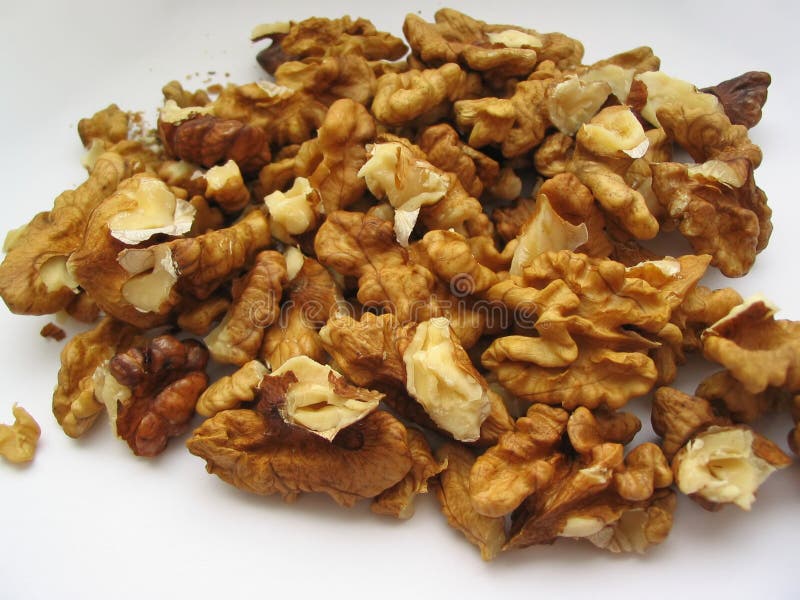 Shelled walnuts #5 stock photo. Image of empty, italian - 200878