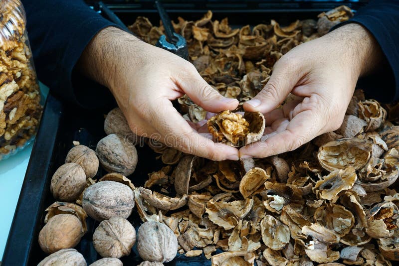 Crushing walnuts stock image. Image of macro, bowl, dieting - 5100793