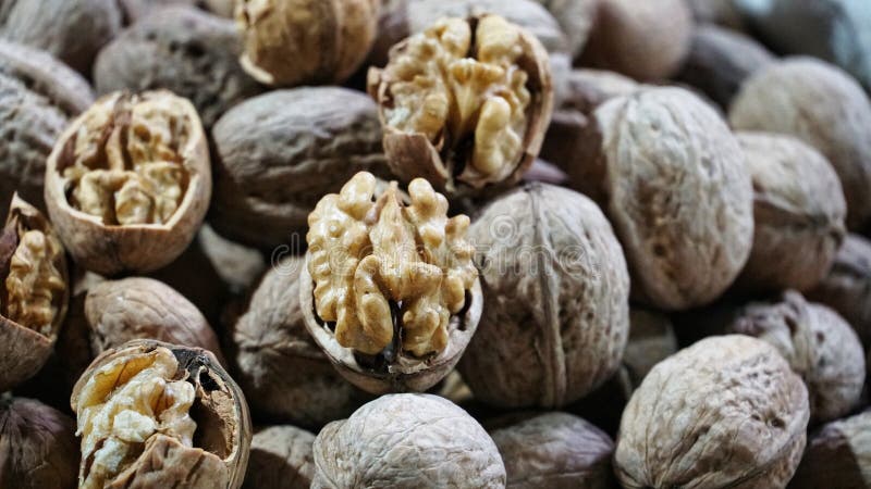 Shelled Walnuts Close-Up stock photo. Image of harvest - 336771024