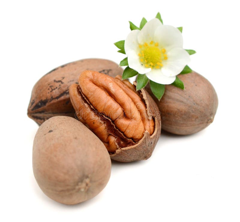 Pecans stock image. Image of health, pecan, heart, calcium - 111614171