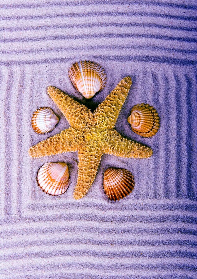 Shelles, arena y escorpión imagen de archivo. Imagen de feroz - 6294797