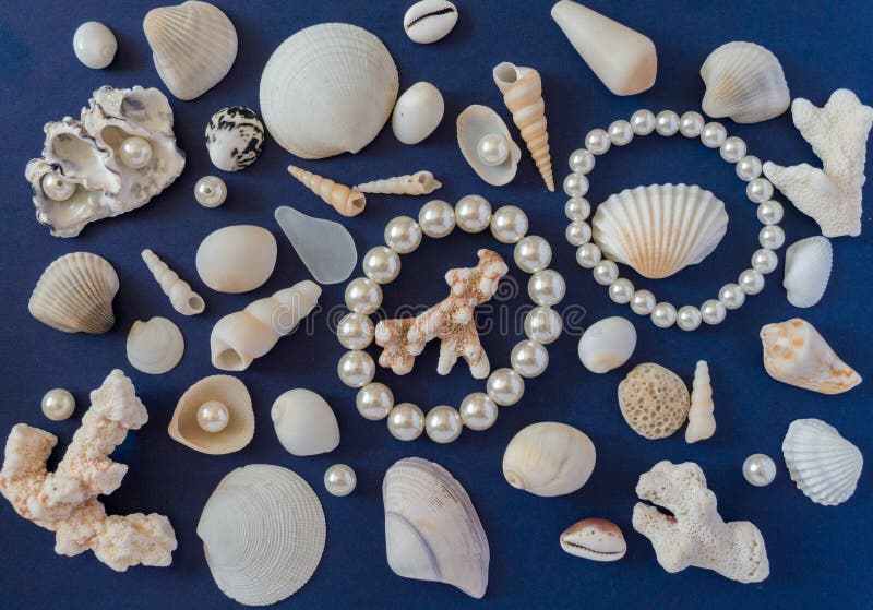 Fondo Del Seashell Con Las Perlas Foto de archivo - Imagen de copia ...