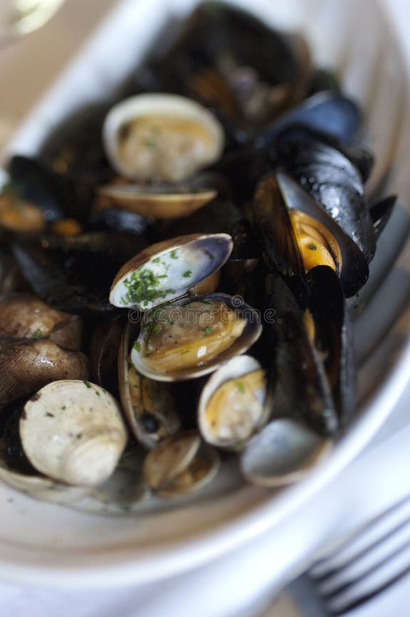 Shellfish stock photo. Image of lunch, meal, eating, dinner - 12347418