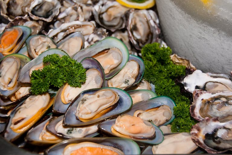 Shellfish stock image. Image of mussels, steamed, pacific - 13092571