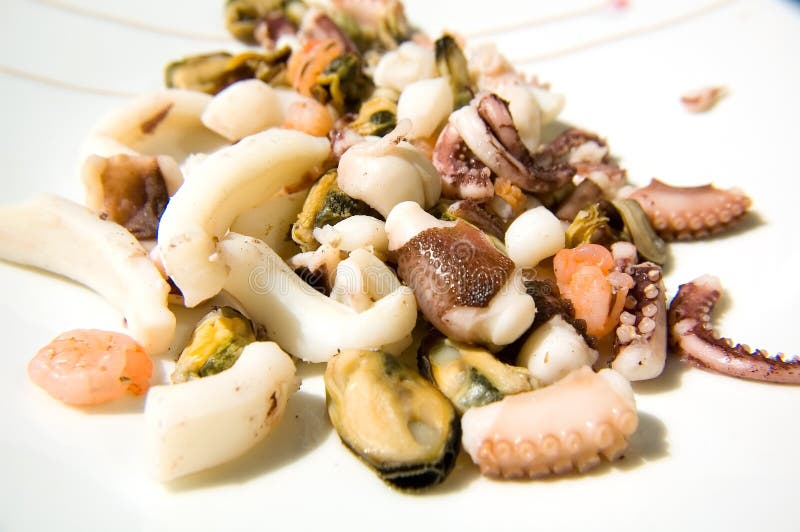 Shellfish stock photo. Image of mixed, seafood, prawns - 2310414