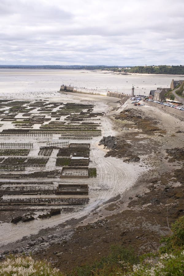 Shellfish Beds on the Coast Stock Image - Image of shell, landscape ...