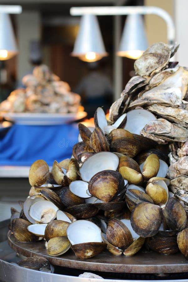 Shellfish stock image. Image of philippines, grill, oyster - 62203219