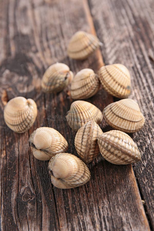 Shellfish stock image. Image of food, fresh, cockle, close - 46792589