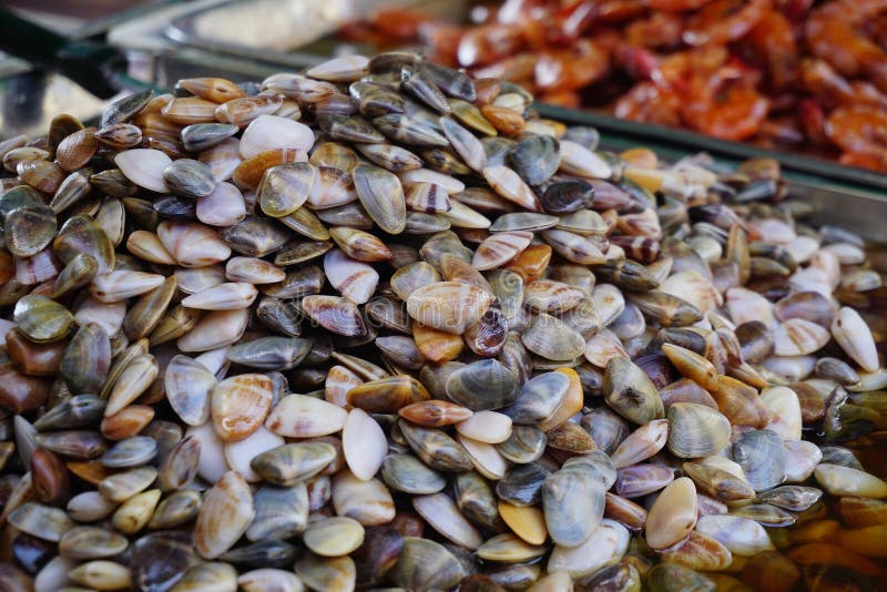 Shellfish Cooking,street Food Thailand Stock Photo - Image of nature ...