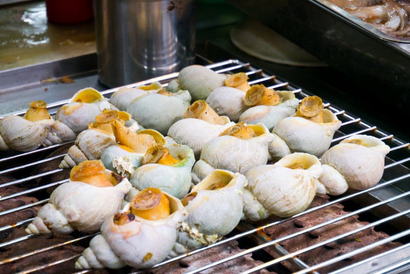 Shellfish Crystal Whelk stock photo. Image of yummy, outdoor - 24003734