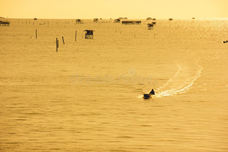 Shellfish farm scenery stock photo. Image of shore, yellow - 276080654