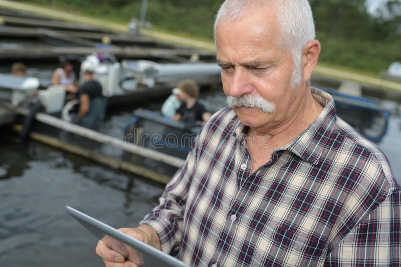 Shellfish or Fish Farm Manager Ordering Supplies on Tablet Stock Image ...