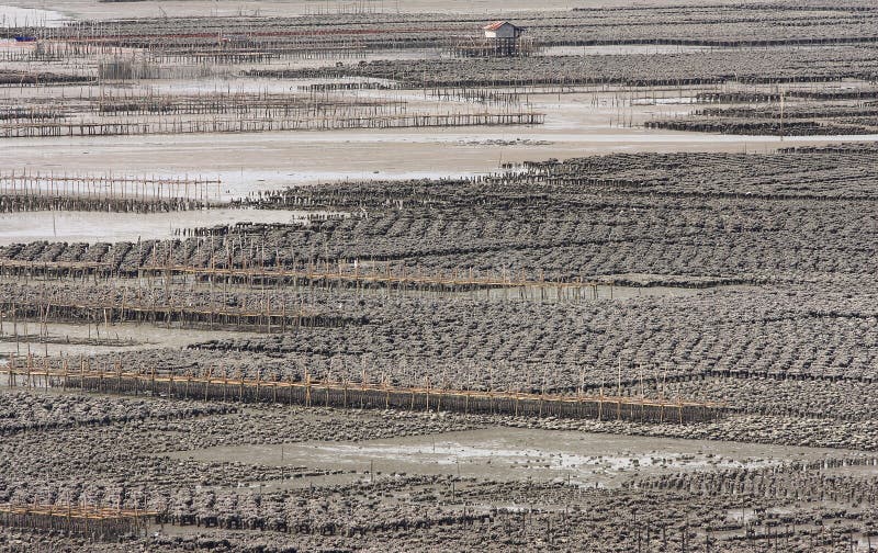 Shellfish and fish farms stock photo. Image of crop, farm - 13980682