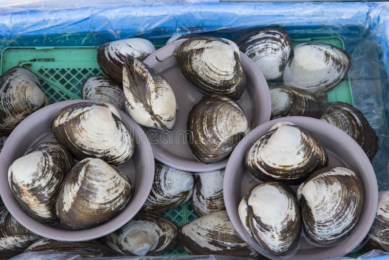 Shellfish in a Fresh Seafood Market Stock Image - Image of prawn ...