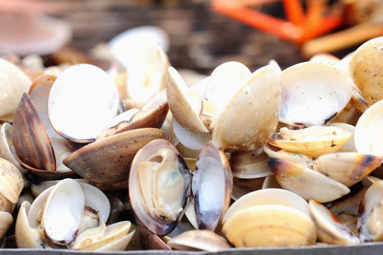 Shellfish grilled stock image. Image of fire, dinner - 32778633