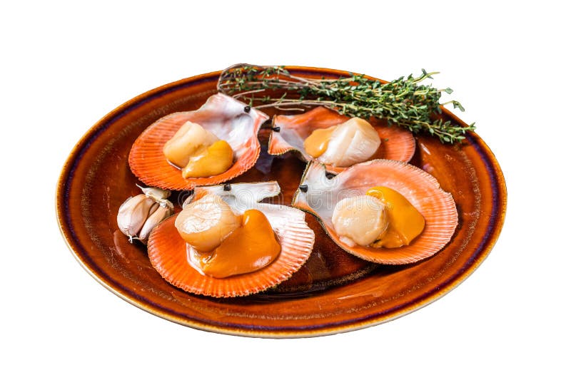 Shellfish Raw Scallops on a Rustic Plate with Thyme. Isolated on White ...