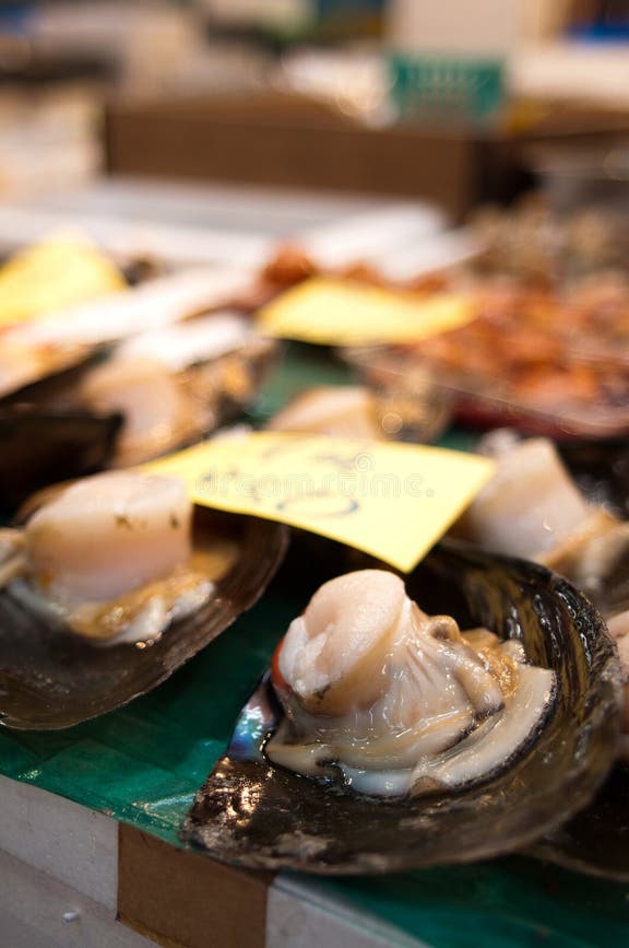 Shellfish Sale stock photo. Image of tsukiji, muscle - 11835266
