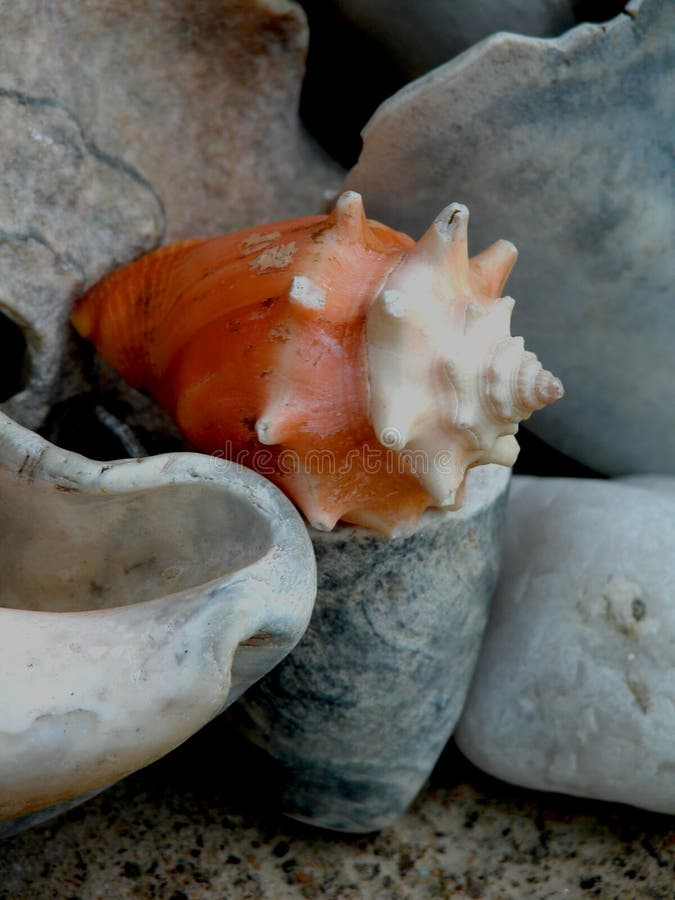 Sunset On Ocean - Bayahibe - Dominican Republic Stock Photo - Image of ...